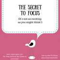 The Secret To Focus | by Guest Author Ruby McGuire | The Launchpad ...