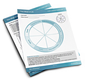 How to Use The Wheel of Life | The Coaching Tools Company